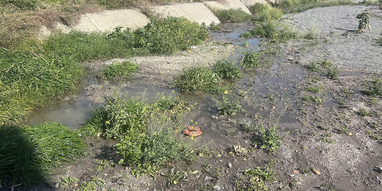 SikilyNews.it - Fogna nell'Agrò da Savoca a Santa Teresa, tra botta e ... SikilyNews.it - Fogna nell'Agrò da Savoca a Santa Teresa, tra botta e ...
